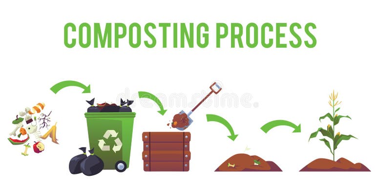 Composting Process Stages and Arrows Flat Style, Vector Illustration ...