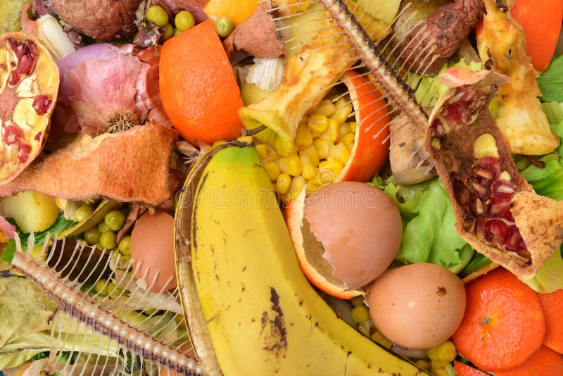 Composting on White Background Stock Image - Image of leaf, compost ...
