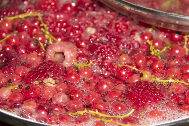 574 Fruit Compote Mix Stock Photos - Free & Royalty-Free Stock Photos ...