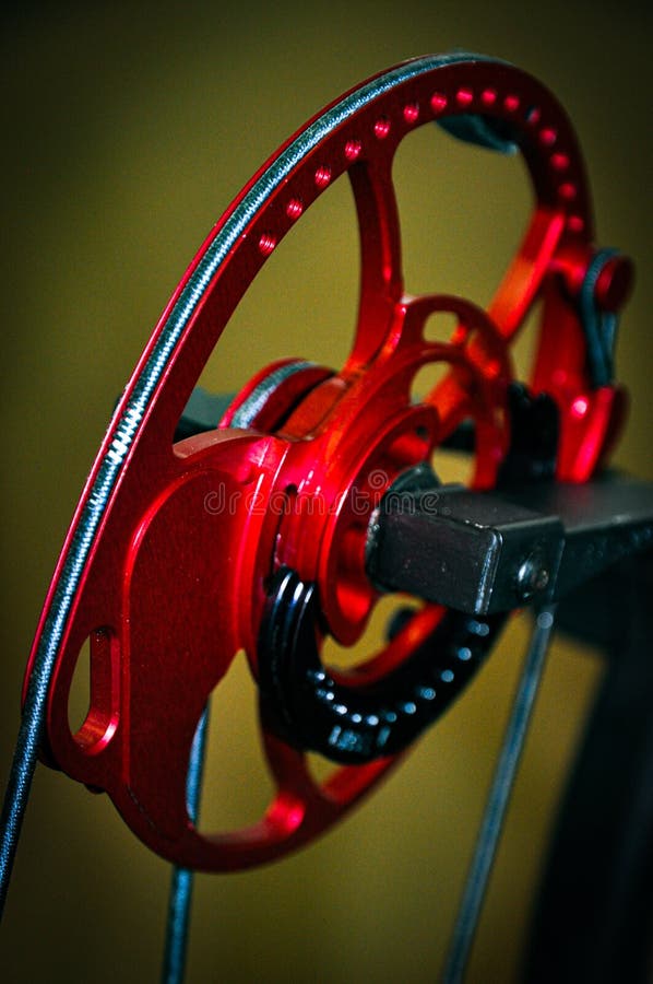 Archery Coat of Arms Paillon Target Compound Bow Competition Stock ...