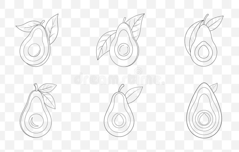 Print Comprehensive Avocado Line Art Vector Set Featuring Detailed ...
