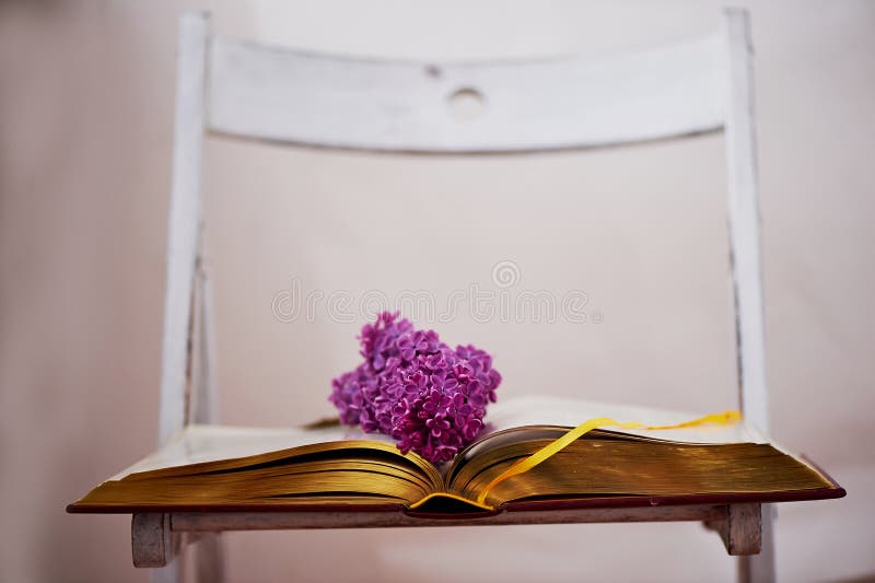 Comprehensive Book, on the Pages of Lilac Stock Image - Image of ...