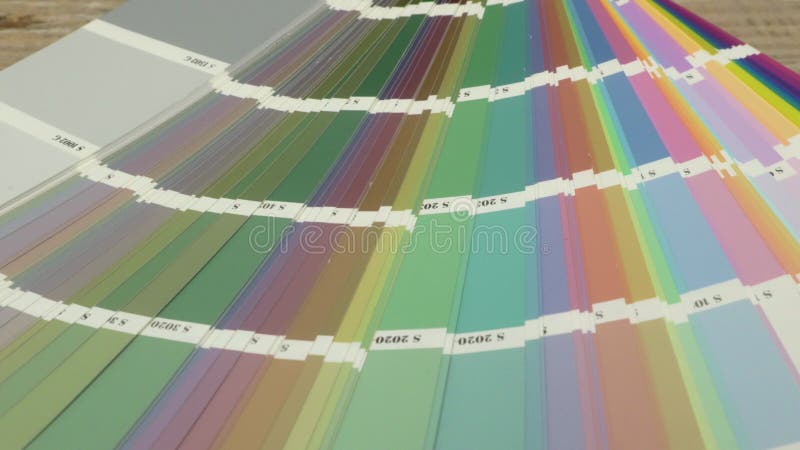 A Comprehensive Color Palette Showcase for Design Inspiration ...