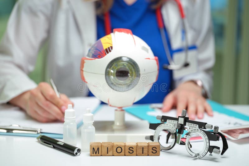 Comprehensive Ophthalmology Examination Incorporating Eye Model and ...