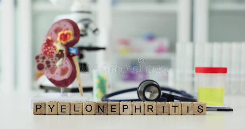 Comprehensive Overview of Pyelonephritis Symptoms, Diagnosis, and ...