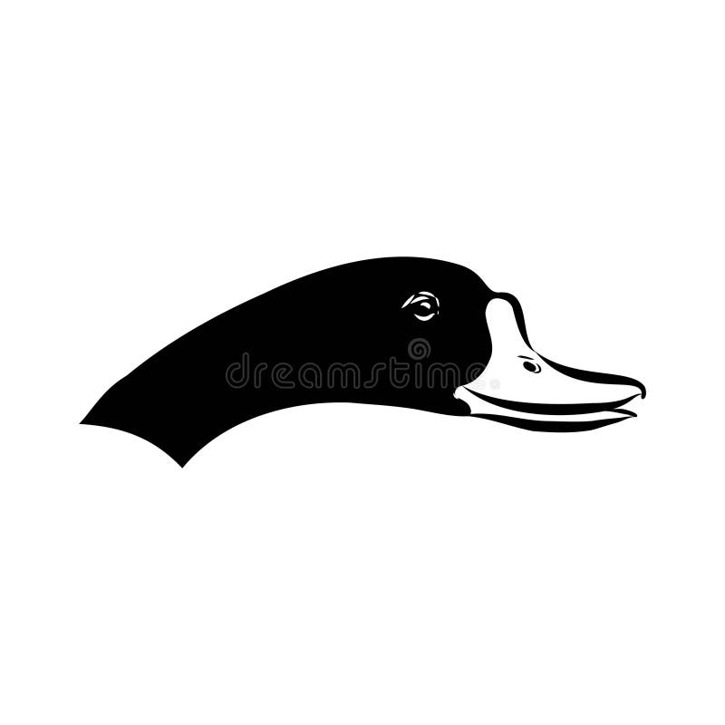 Comprehensive Shelduck Line Art Vector Set for Detailed Illustrations ...