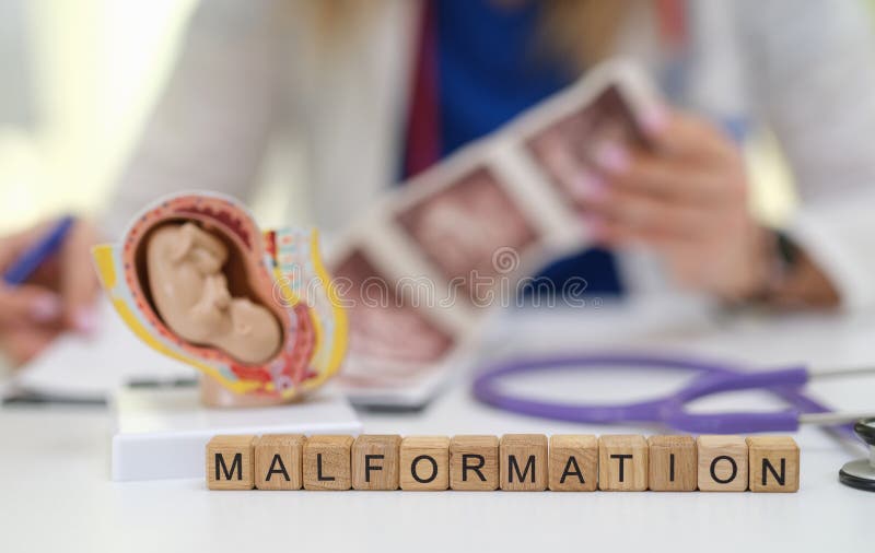 A Comprehensive Understanding of Malformation in Embryonic Development ...