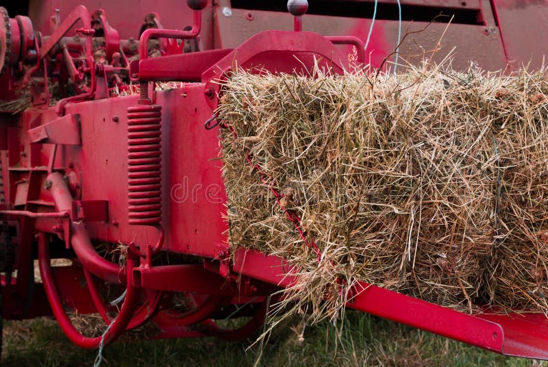 Hay Compress Stock Photos - Free & Royalty-Free Stock Photos from ...