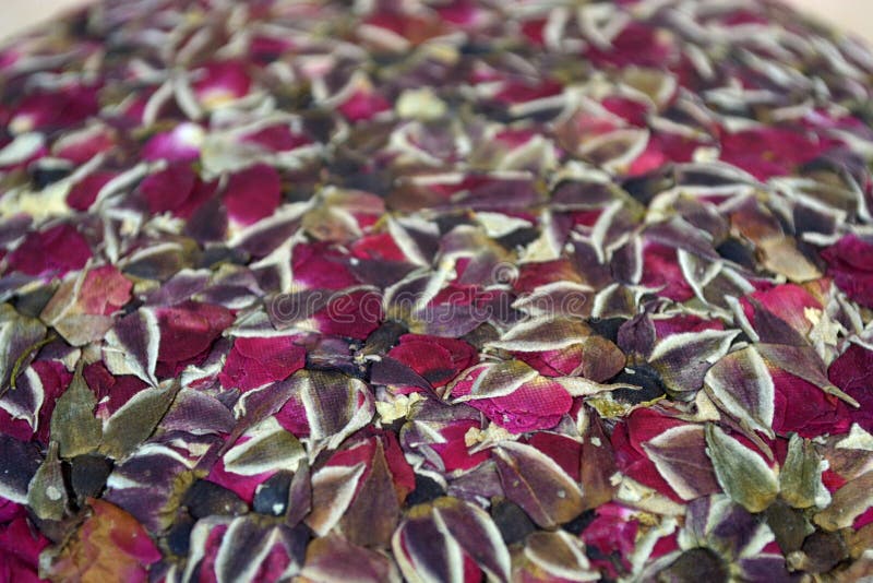 Compress Rose Bud Stock Photos - Free & Royalty-Free Stock Photos from ...