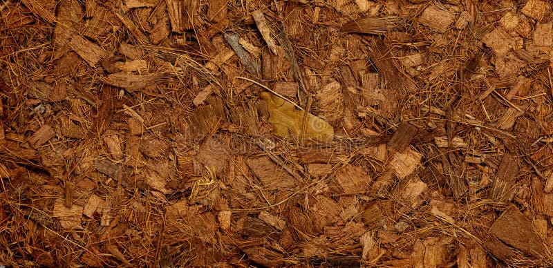 Recycled Paper Pulp Surface Texture Stock Image - Image of recycled ...