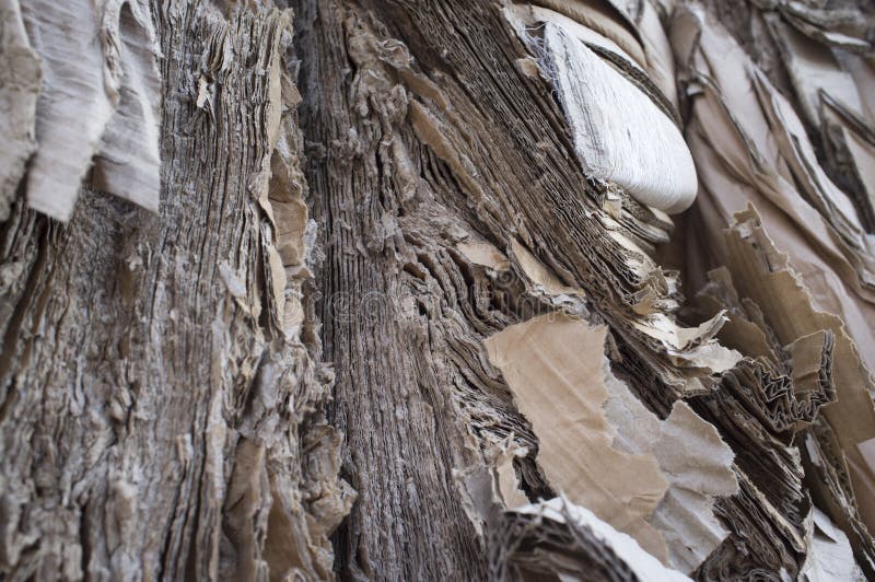 Compressed Paper and Cardboard Stock Image - Image of heap, consumption ...