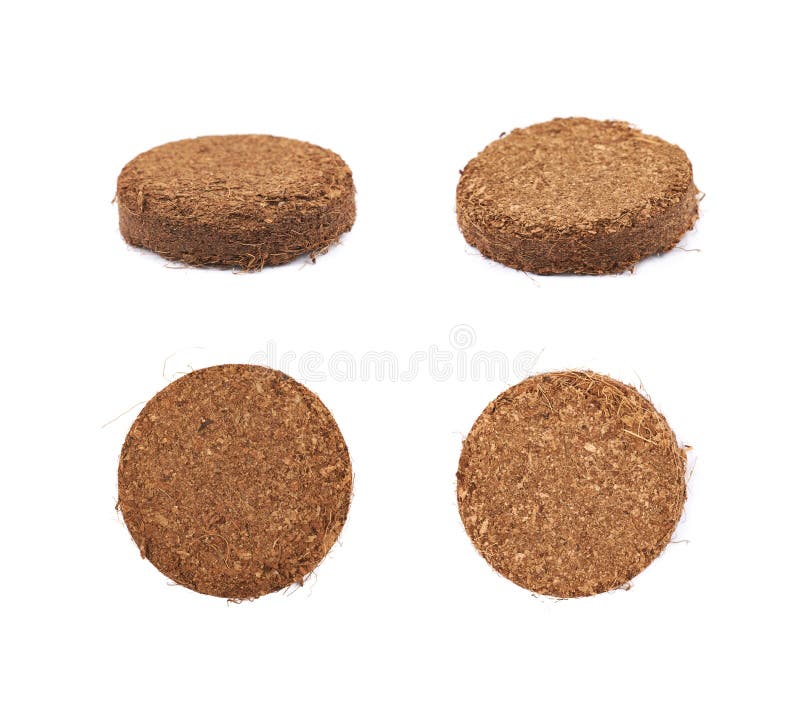 Compressed Compost Tablet Isolated Stock Image - Image of compressed ...