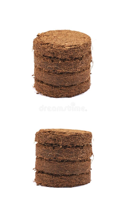Compressed Compost Tablet Isolated Stock Image - Image of cultivation ...