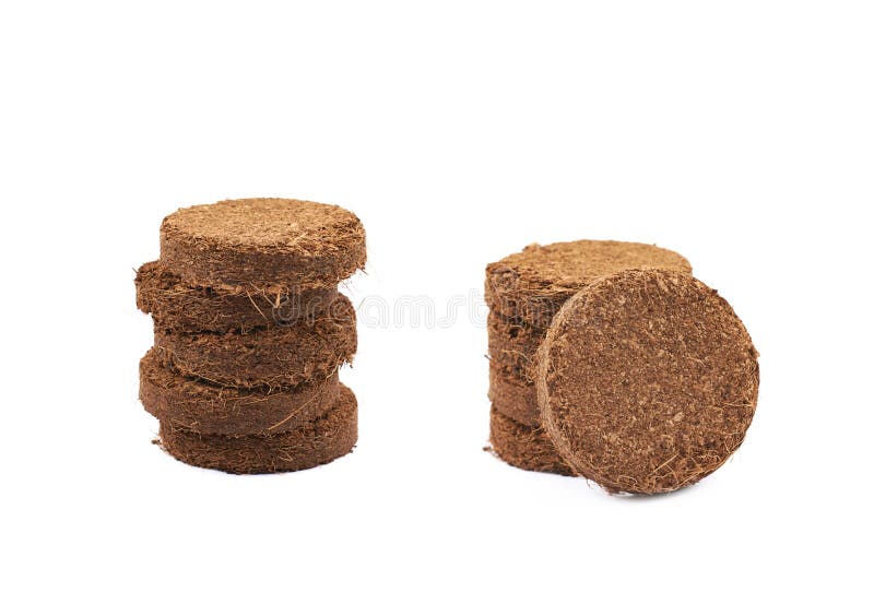 Compressed Compost Tablet Isolated Stock Photo - Image of fragile ...