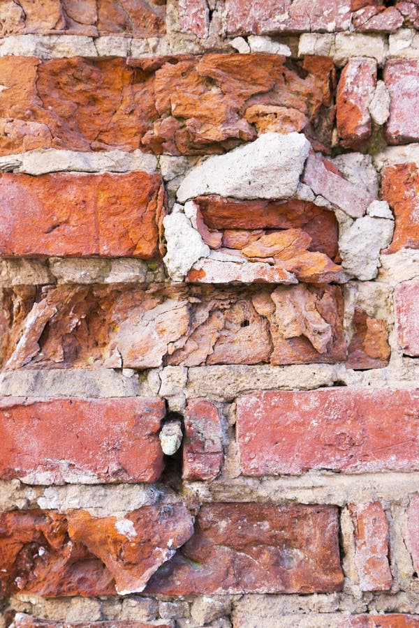 Compressed Woodchip Sheet Background or Texture. Stock Photo - Image of ...