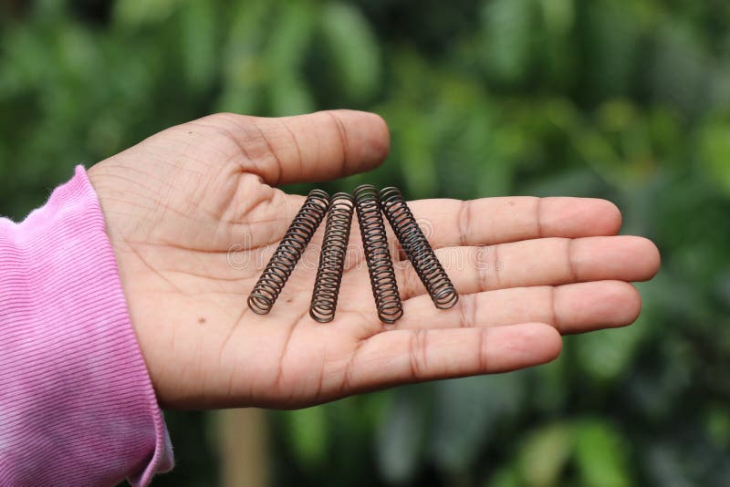 Compression Springs Held in Hand on a Nature Background Stock Image ...