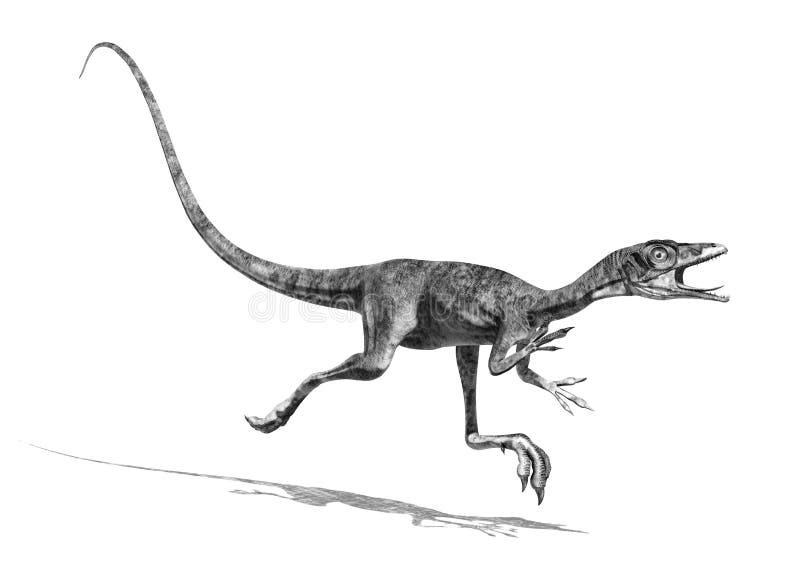 Compsognathus Dinosaur Running - Pencil Drawing Style Stock ...