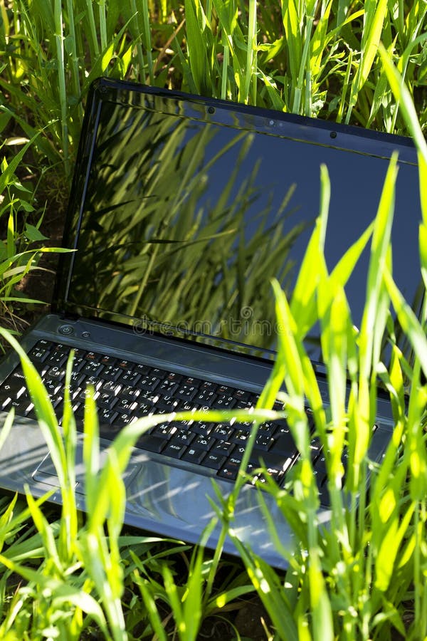 Computadora Portátil En Hierba Verde Imagen de archivo - Imagen de ...