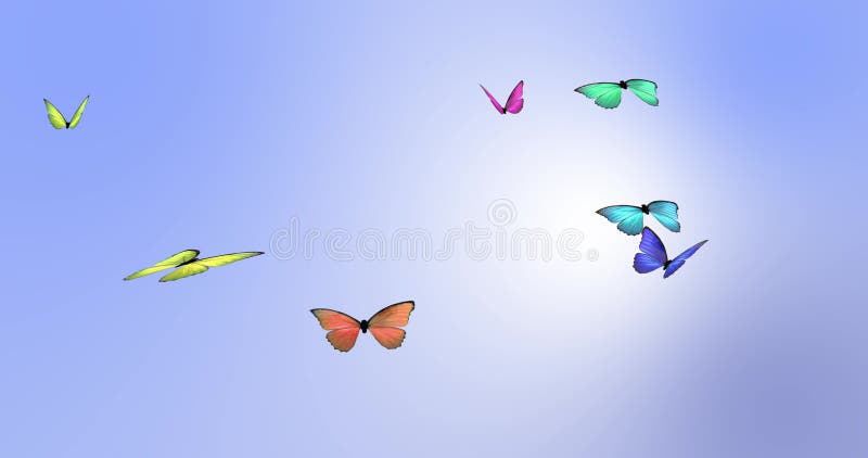 Spring Butterfly stock video. Video of spring, 1920x1080 - 39600931