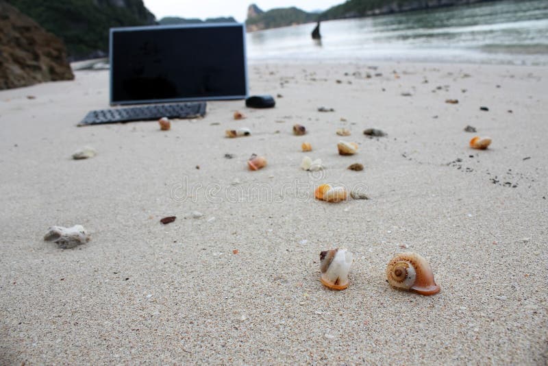 The computer on the beach. stock photo. Image of person - 84910432