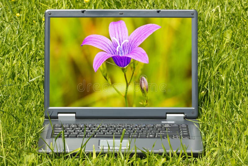 Computer with Beautiful Flower on Screen Stock Photo - Image of ecology ...