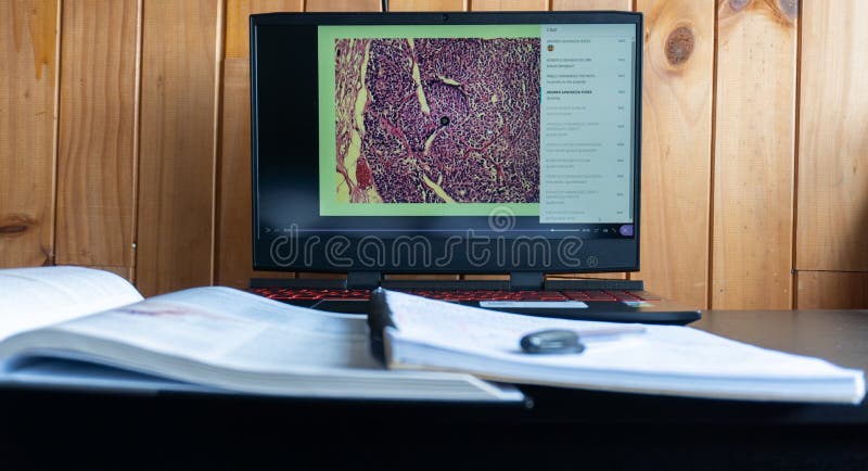 Computer and Books of a University Student Stock Image - Image of ...