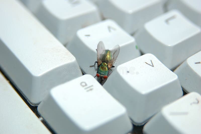 Computer bug stock photo. Image of safety, glass, magnify - 1869834 Computer bug stock photo. Image of safety, glass, magnify - 1869834