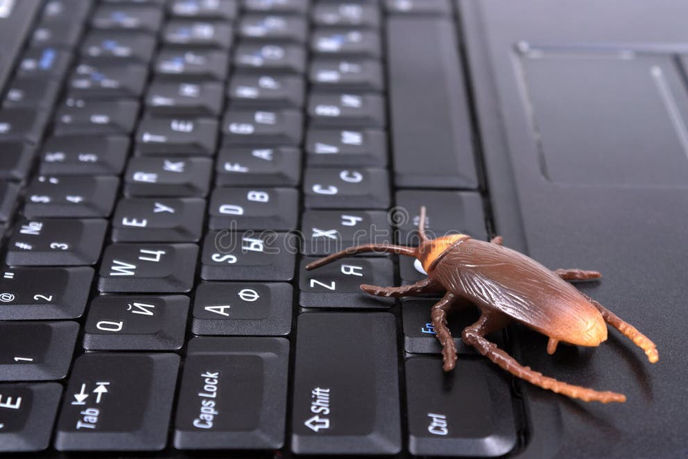 Computer bug stock photo. Image of keys, keyboard, computer - 12845604