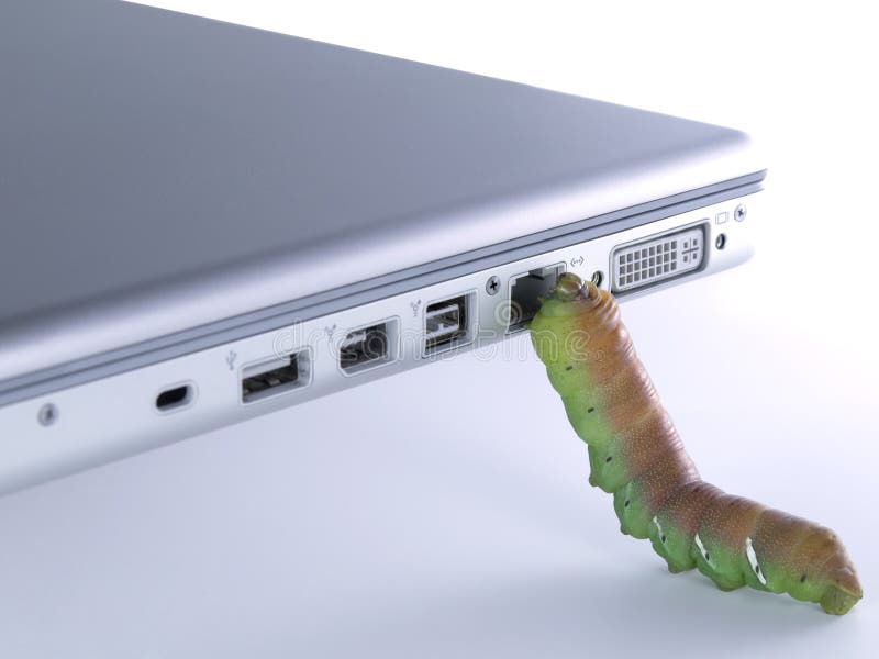 Computer bug stock image. Image of data, animal, connection - 9013657