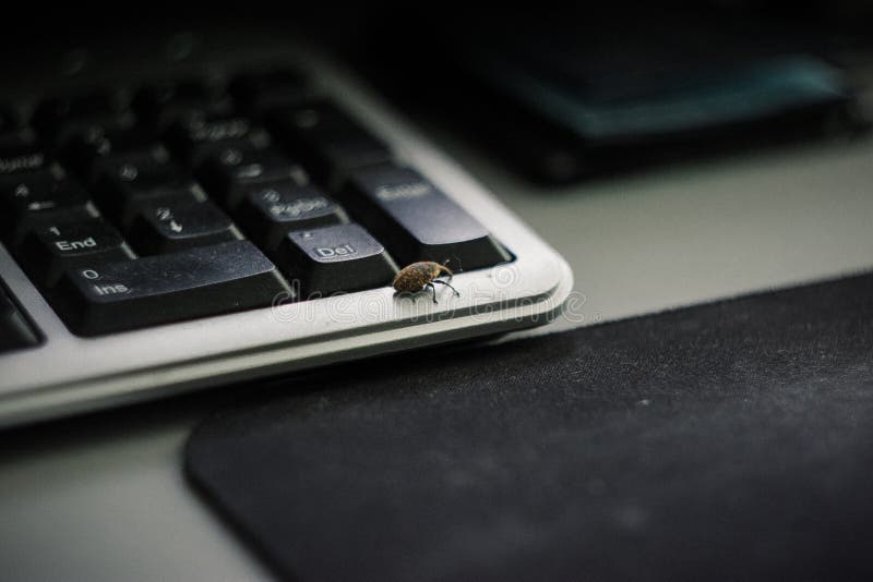 Семён Баринов (Pyramide35) - Photos