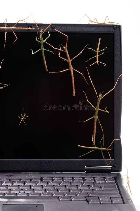 Computer bugs everywhere stock image. Image of protection - 2230097