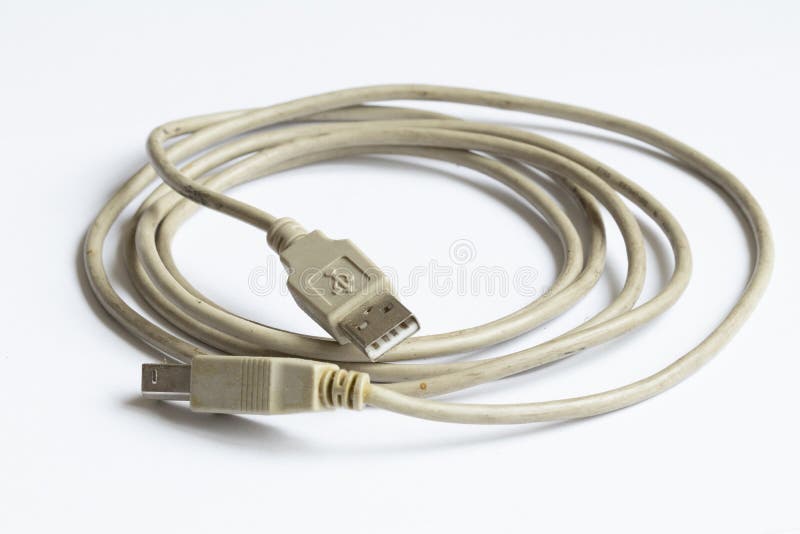 Computer cable. stock photo. Image of isolated, electrical - 219019966