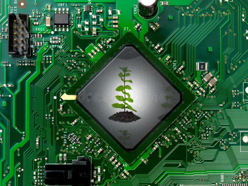 Computer Chip stock image. Image of industry, mother - 16272205