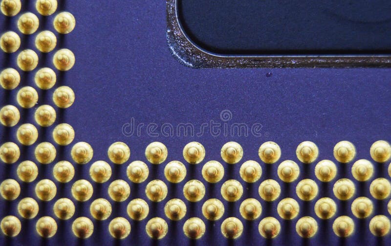 Computer Chip Pins Cpu Processor Pentium Magnified. Stock Photo - Image ...