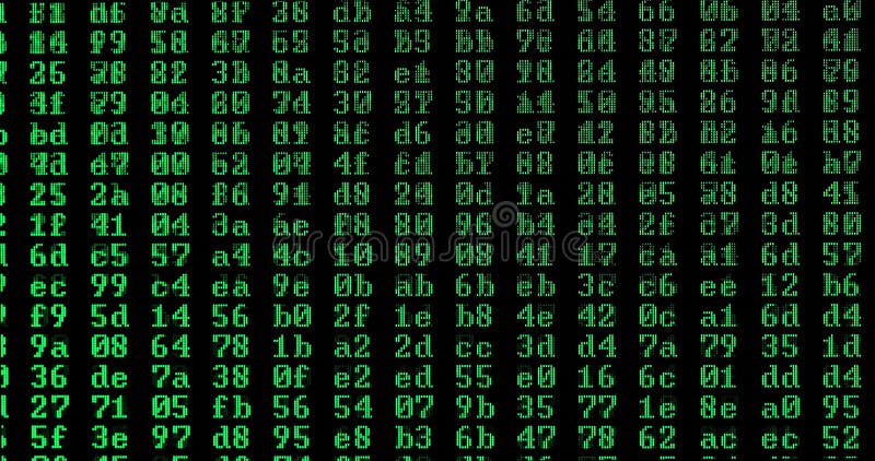 Computer Code in Hexadecimal on Screen Stock Footage - Video of dark, console: 217132936
