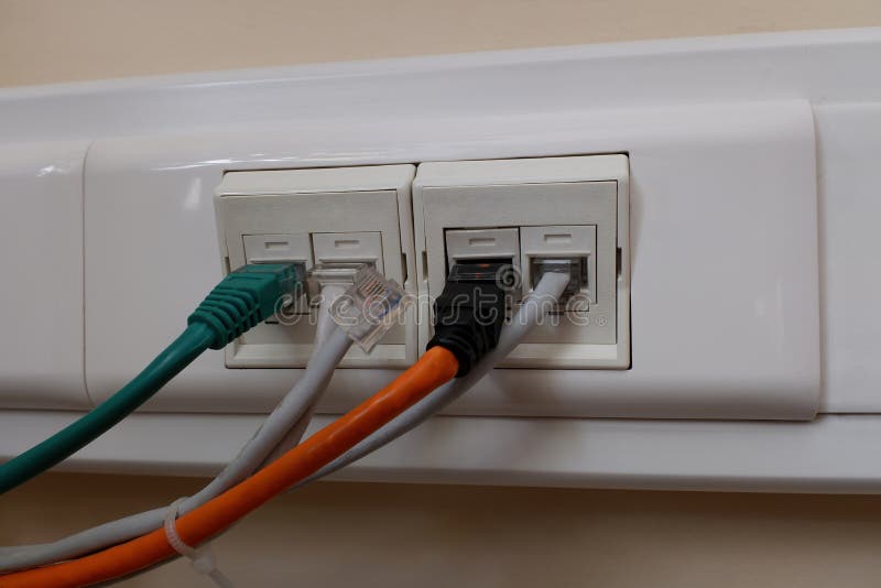 Computer Connectors are Inserted into Sockets Twisted Pair Patch Cord ...
