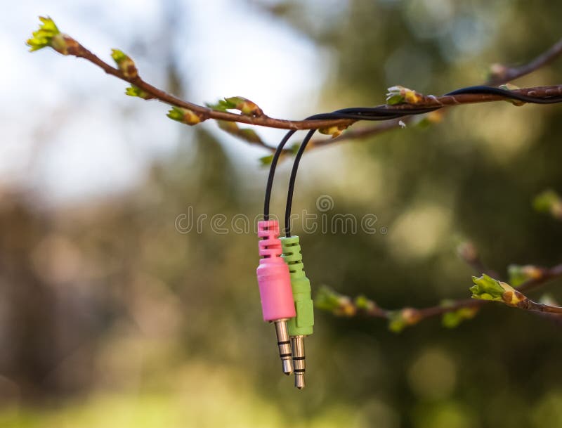 Computer Details in the Garden in Spring. Stock Photo - Image of cable ...