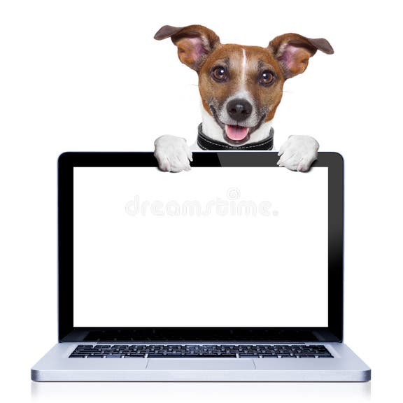 Computer dog stock image. Image of keyboard, animal, digital - 47853295