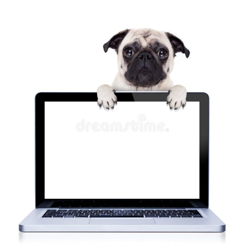 Dog computer stock image. Image of jack, placeholder - 35017131