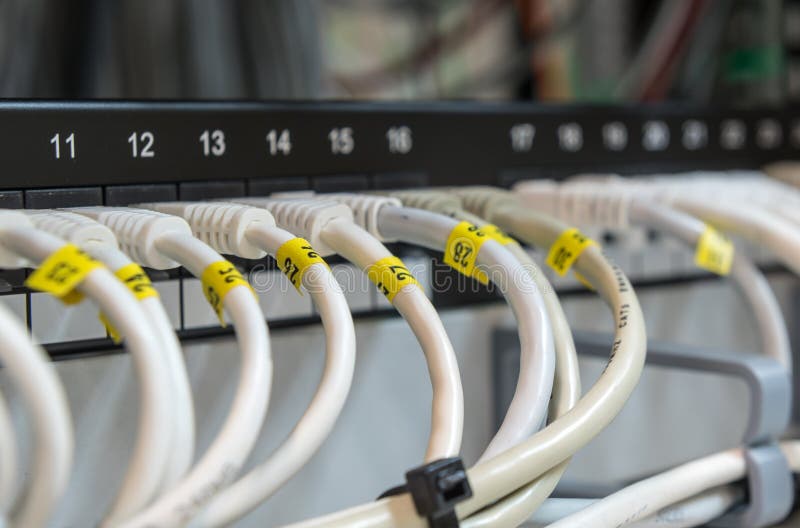 Computer Ethernet Data Lan Cables in a Row. Stock Photo - Image of ...