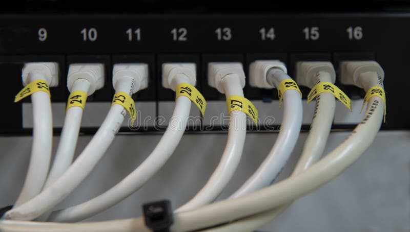 Computer Ethernet Data Lan Cables in a Row. Stock Photo - Image of ...