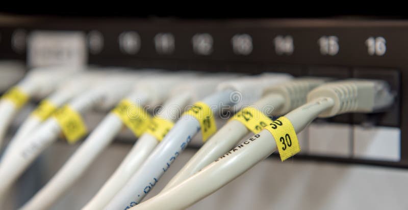 Computer Ethernt Data Lan Cables in a Row. Stock Photo - Image of ...