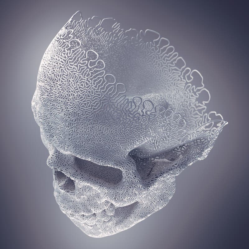 Human Skull Mist Stock Illustrations – 93 Human Skull Mist Stock ...