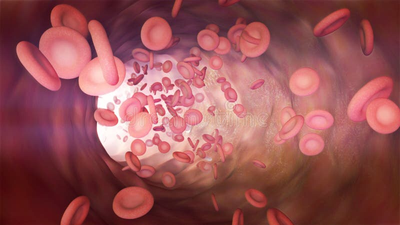 3D Illustration of a Bloodstream with Red Cell White Cell and Platelet ...