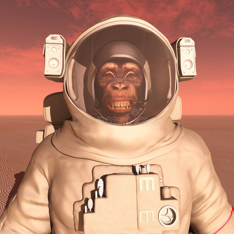 Astronaut Monkeys Stock Illustrations – 31 Astronaut Monkeys Stock Illustrations, Vectors ...