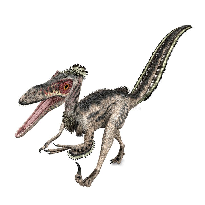 Velociraptor stock illustration. Illustration of enormous - 29769425