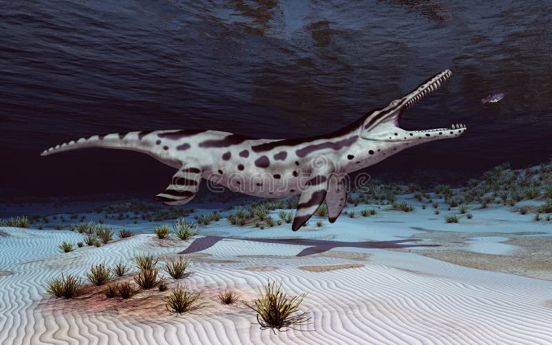 Pliosaur Kronosaurus on the Hunt Stock Illustration - Illustration of ...