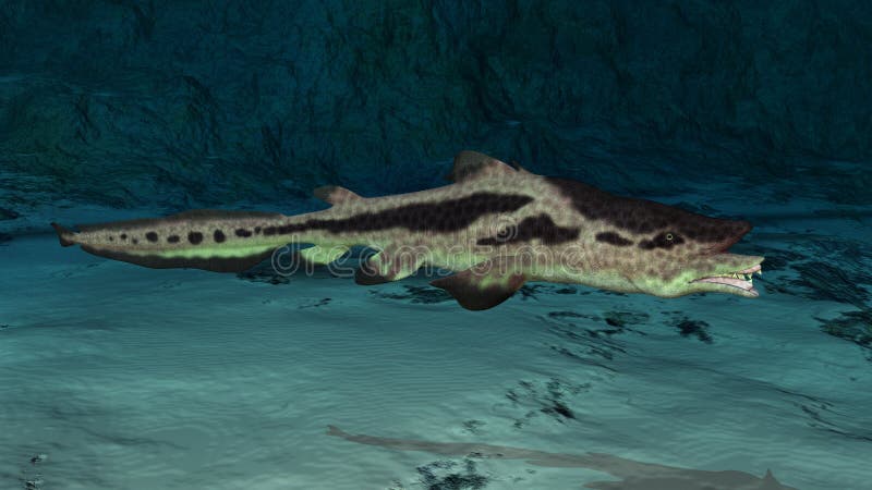 Prehistoric shark Edestus stock illustration. Illustration of edestus ...