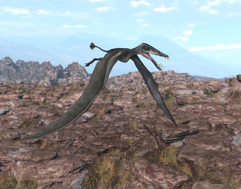 Pterosaur Dorygnathus Over a Rocky Landscape Stock Illustration ...