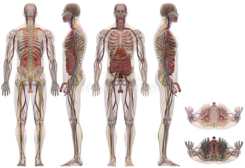 Dvd Camera Angles Clipart